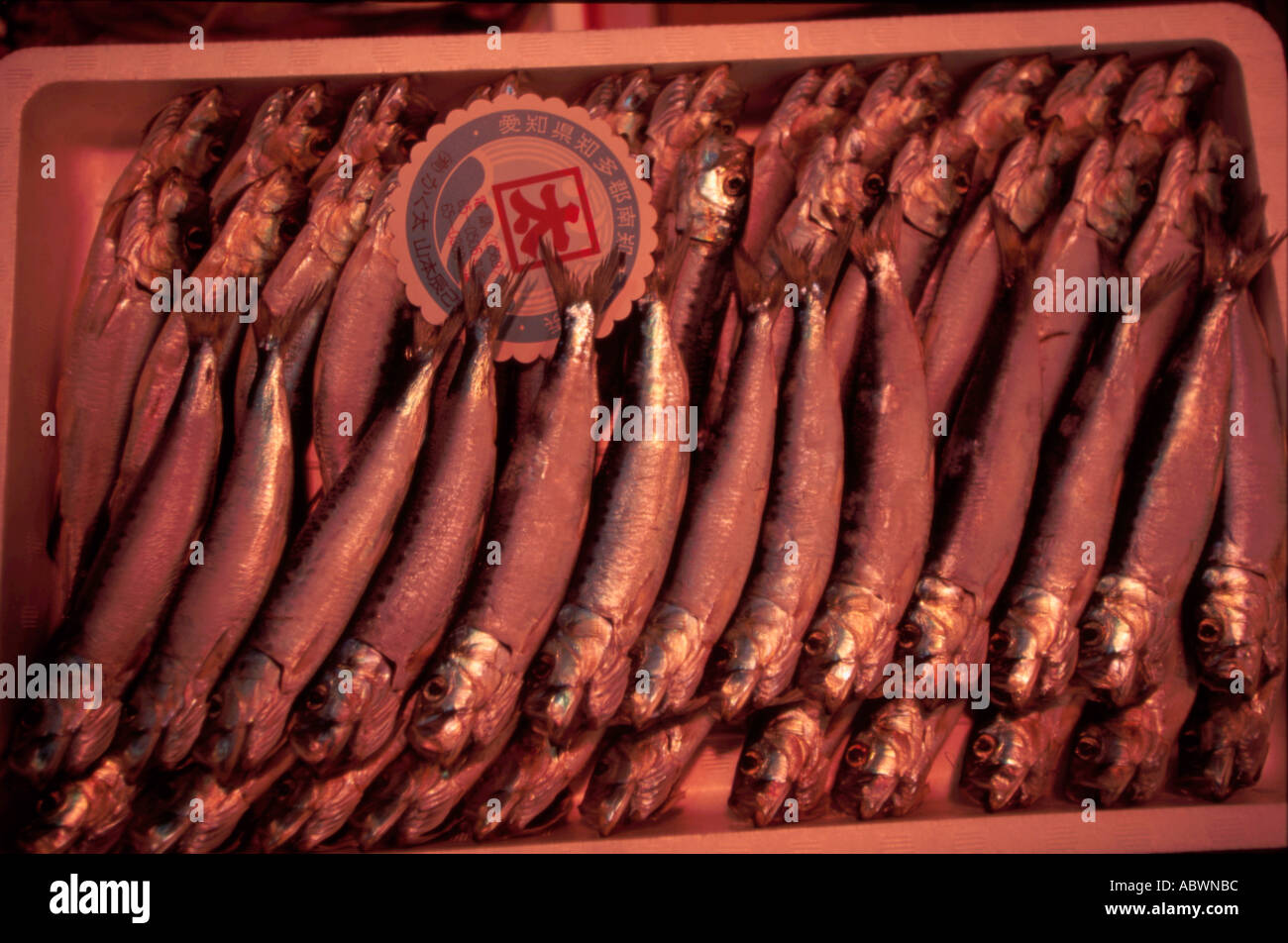 Tsukiji Fish Market Tokyo Japan Stock Photo - Alamy