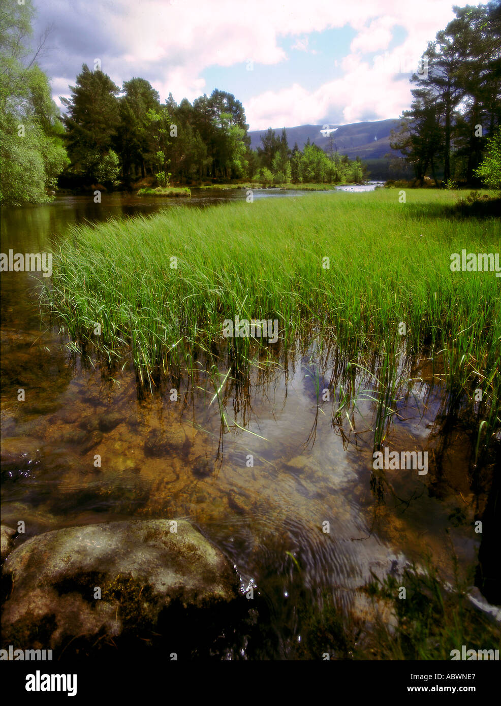 Flourishing landscape hi-res stock photography and images - Alamy