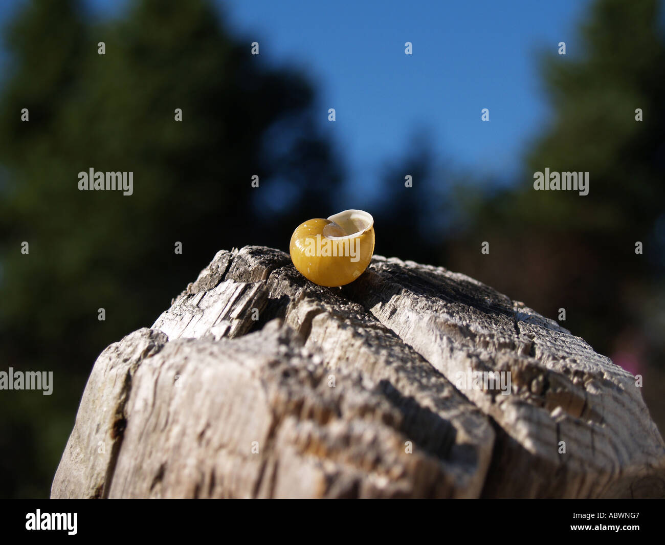 Camper shell hi-res stock photography and images - Alamy