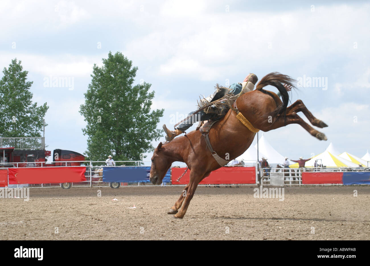 Rodeo Stampede Alberta Canada Bronco Riding Cowboy Stock Photo - Alamy