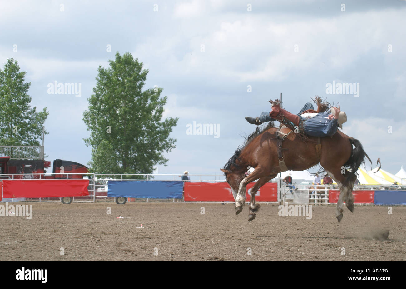 Rodeo Stampede Alberta Canada Bronco Riding Cowboy Stock Photo - Alamy