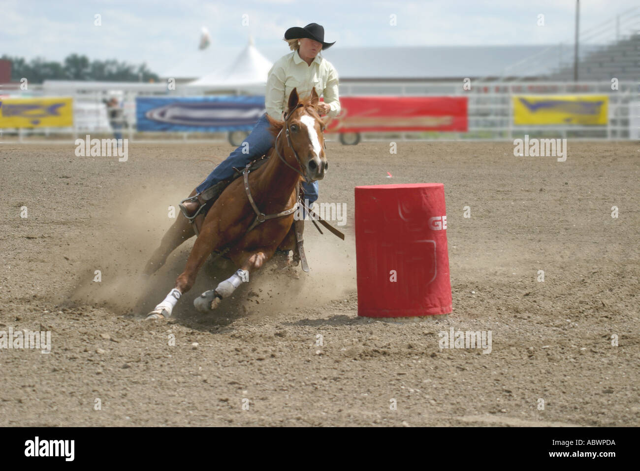 Rodeo Calgary Stampede Alberta Canada Barrel racing horse rider compete ...