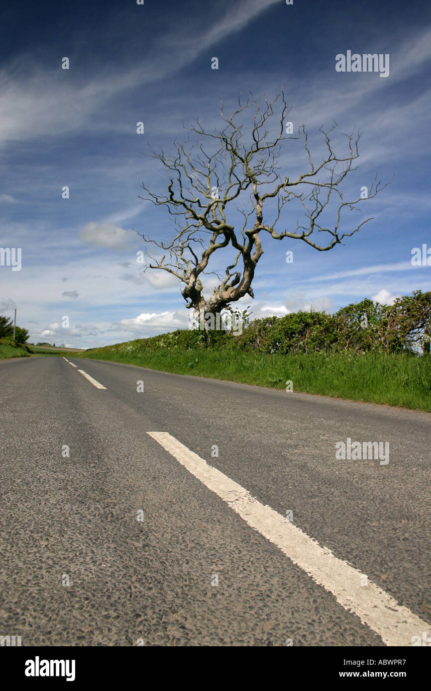 Dead Country High Resolution Stock Photography and Images - Alamy