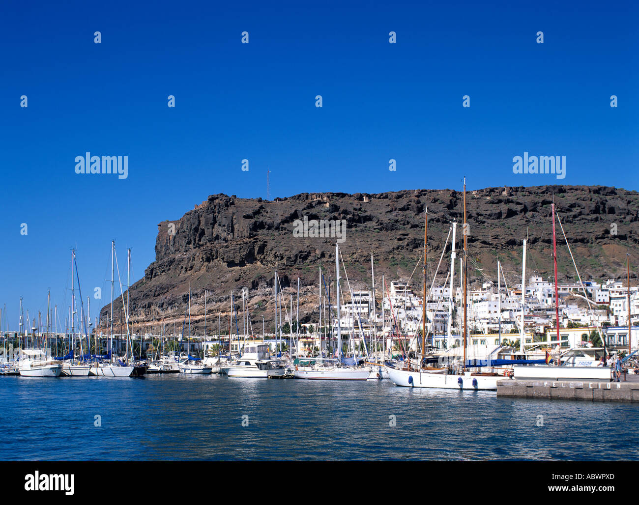 Spain Canary Canaries Puerto Morgan Stock Photo - Alamy