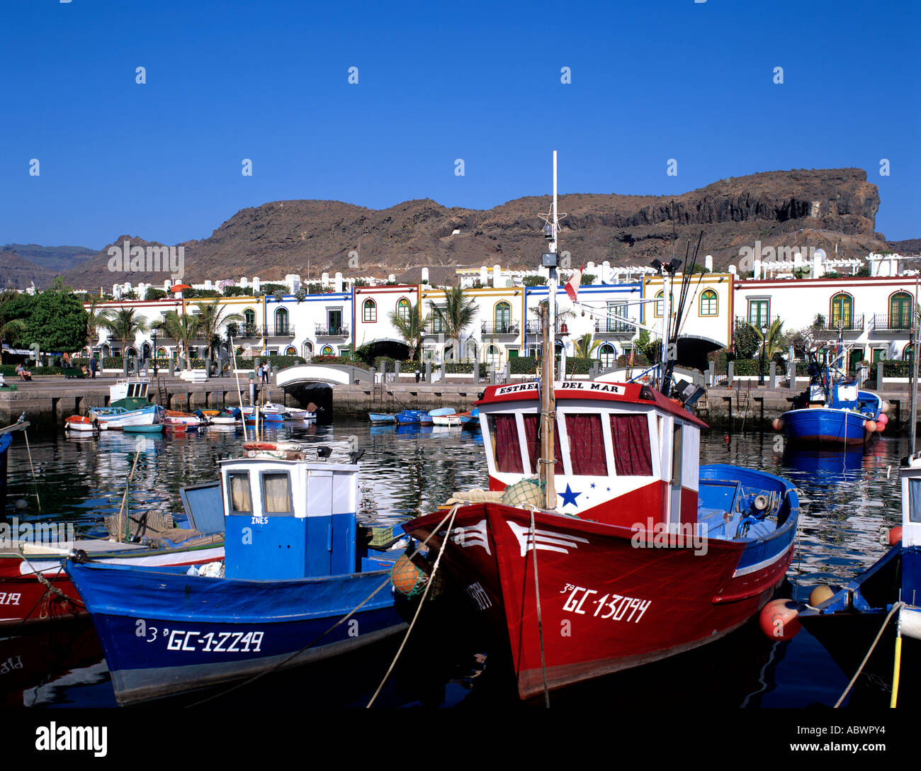 Spain Canary Canaries Puerto Morgan Stock Photo - Alamy
