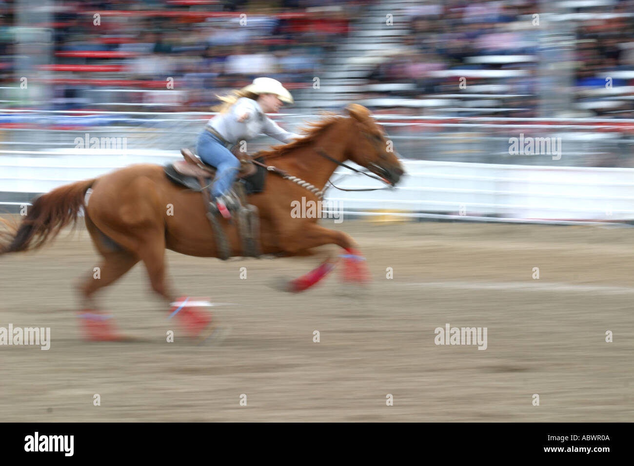 The crowd strain to see the action hi-res stock photography and images ...