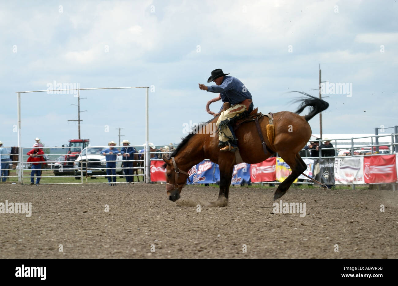 Rodeo Stampede Alberta Canada Bronco Riding Cowboy Stock Photo - Alamy