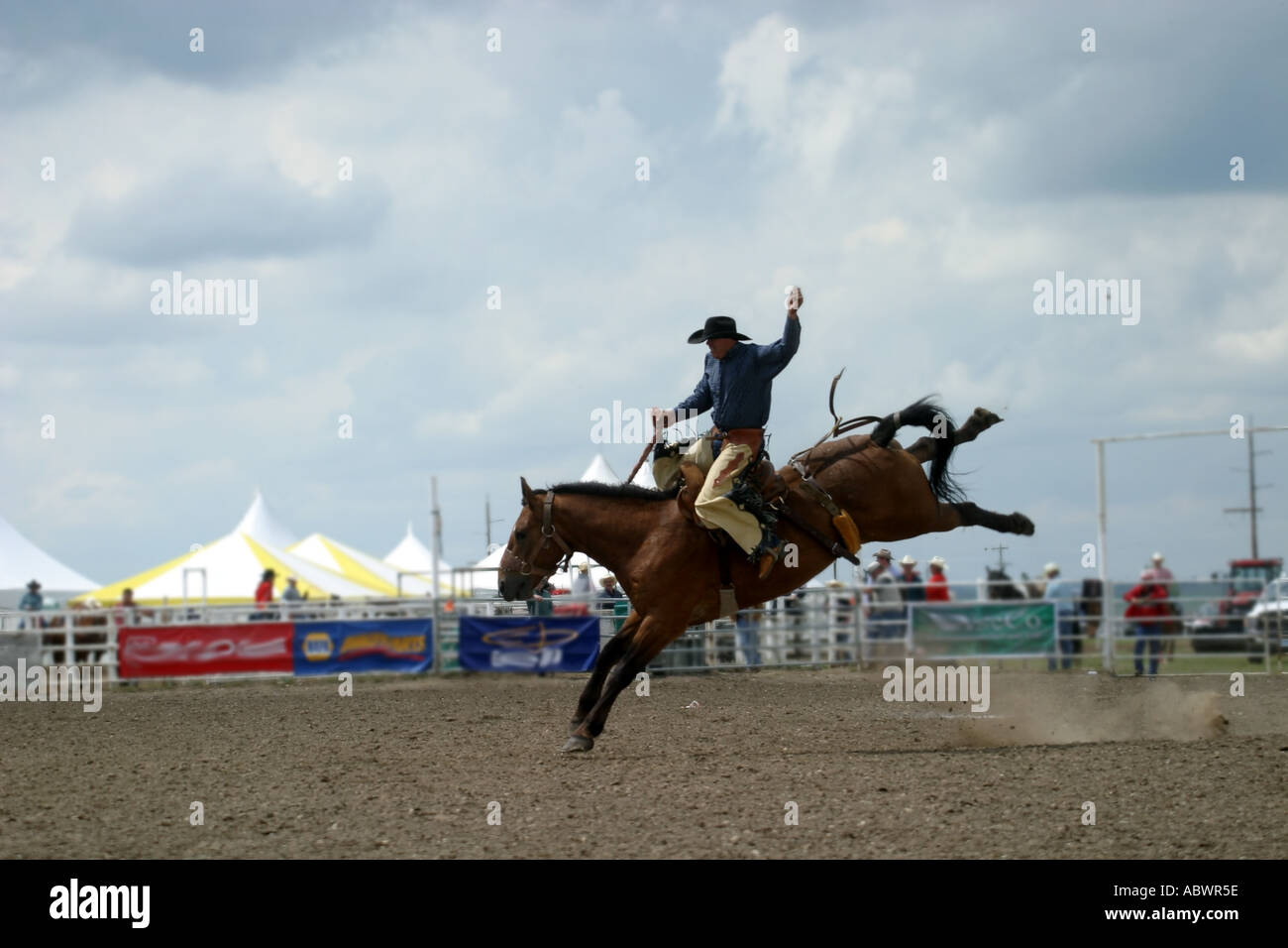 Rodeo Stampede Alberta Canada Bronco Riding Cowboy Stock Photo - Alamy