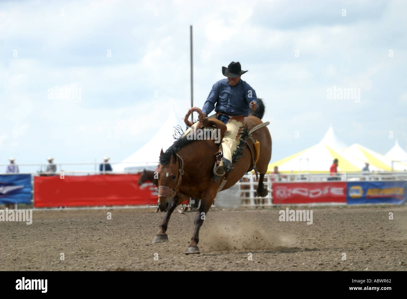 Rodeo Stampede Alberta Canada Bronco Riding Cowboy Stock Photo - Alamy
