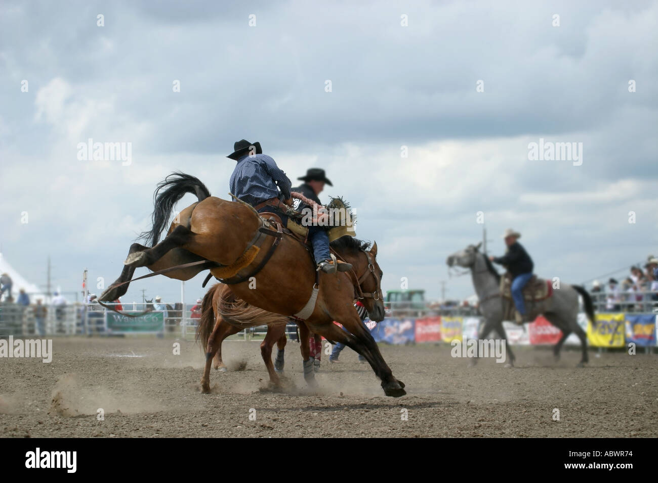 Rodeo Stampede Alberta Canada Bronco Riding Cowboy Stock Photo - Alamy