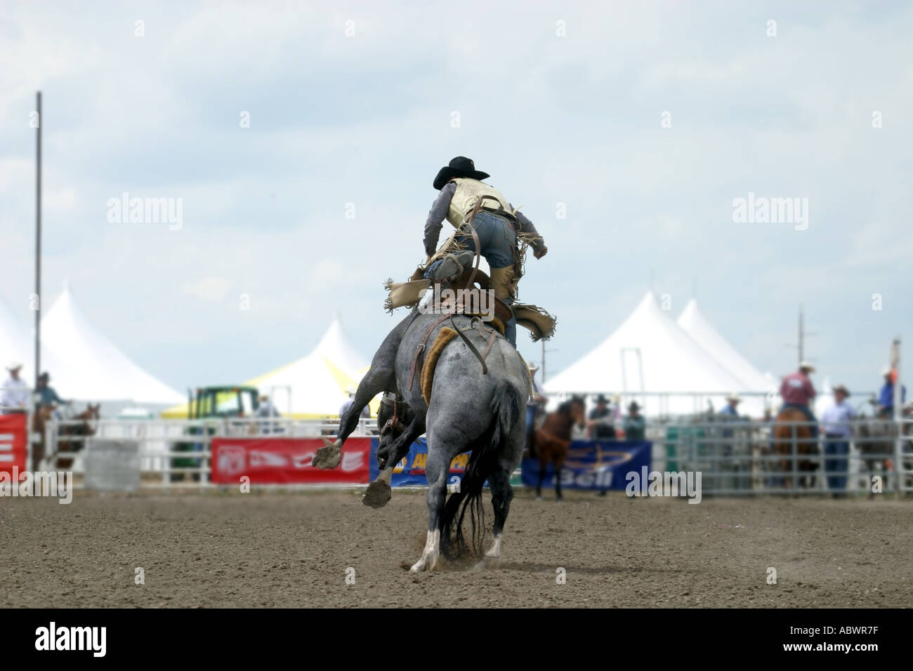 Rodeo Stampede Alberta Canada Bronco Riding Cowboy Stock Photo - Alamy
