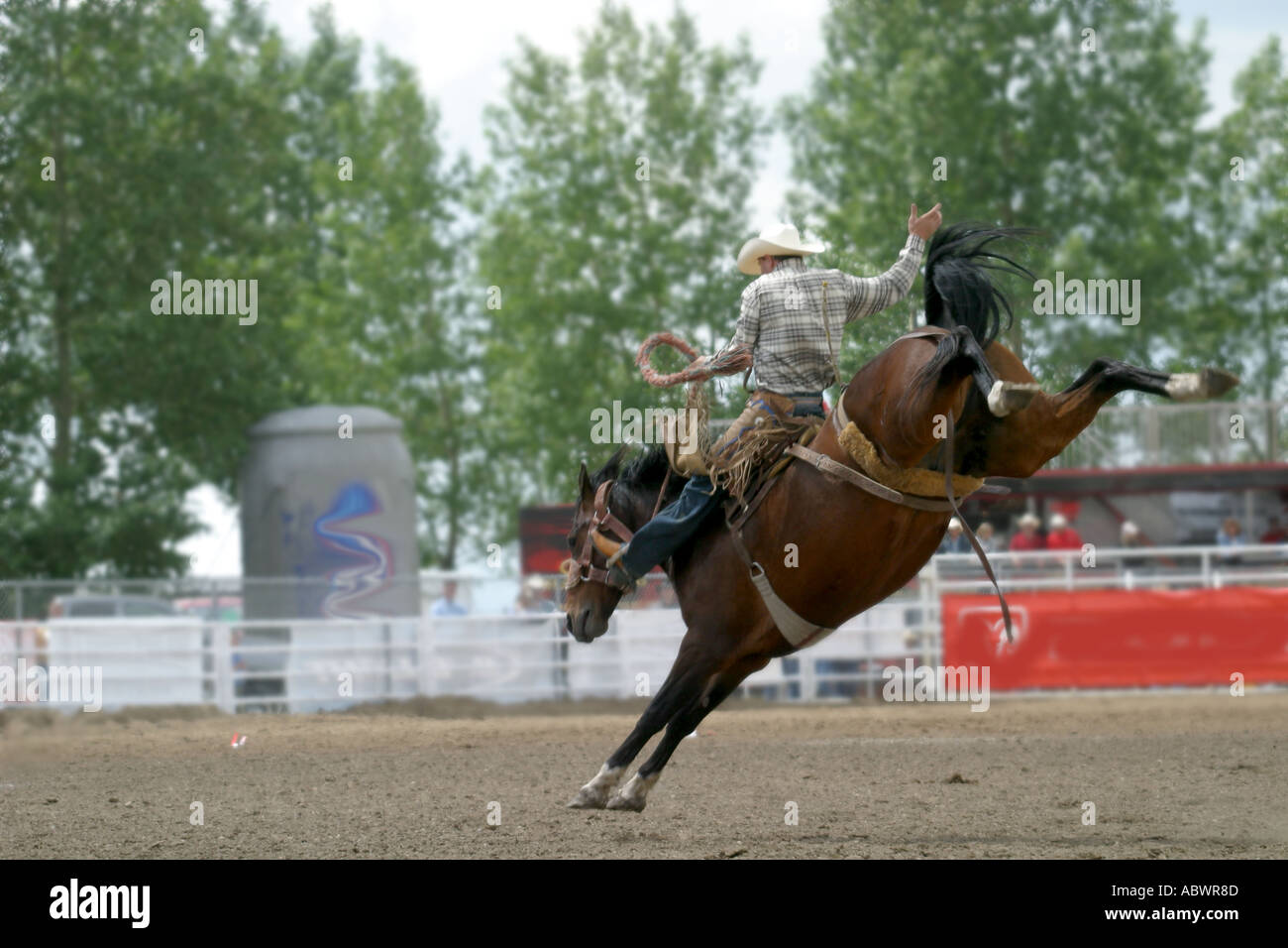 Stampede Corral High Resolution Stock Photography and Images - Alamy