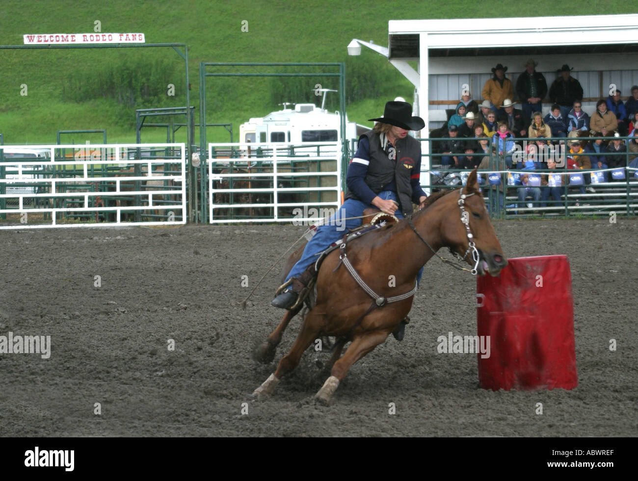 Rodeo Calgary Stampede Alberta Canada Barrel racing horse rider compete ...