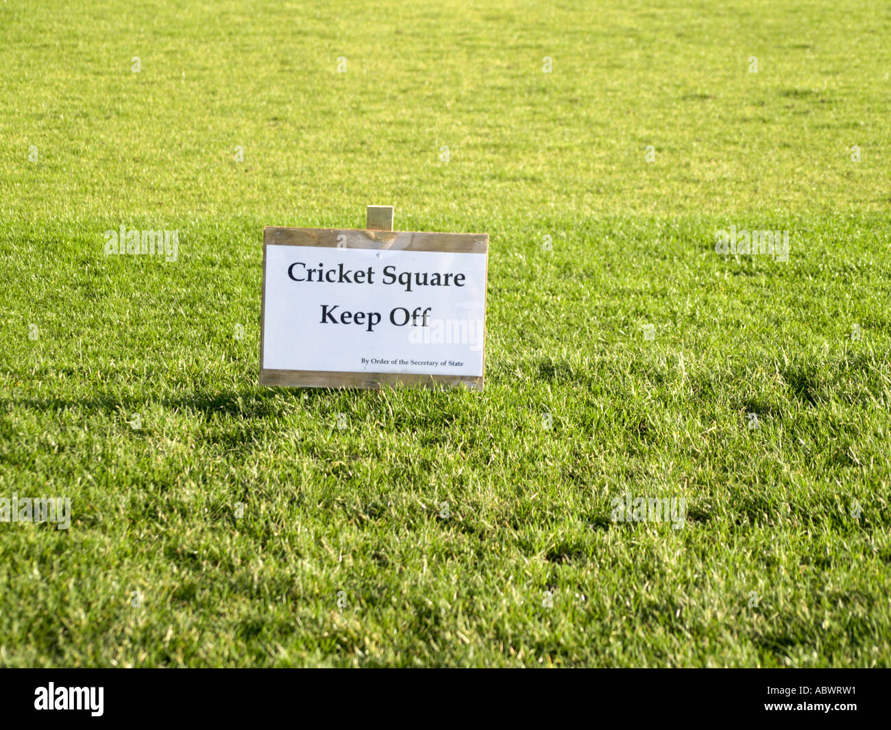 Cricket square hi-res stock photography and images - Alamy