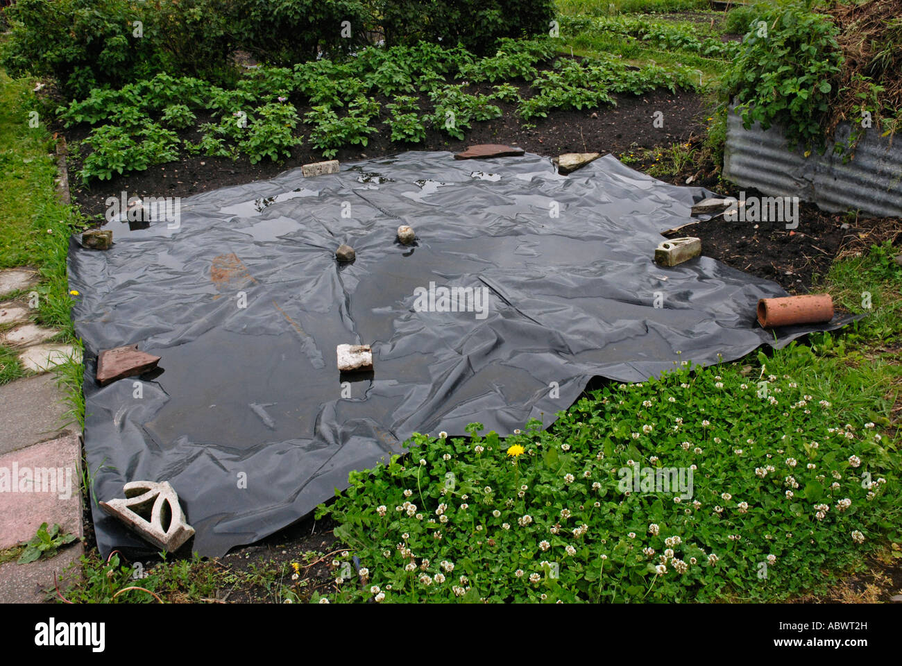 Plastic mulch hi-res stock photography and images - Alamy