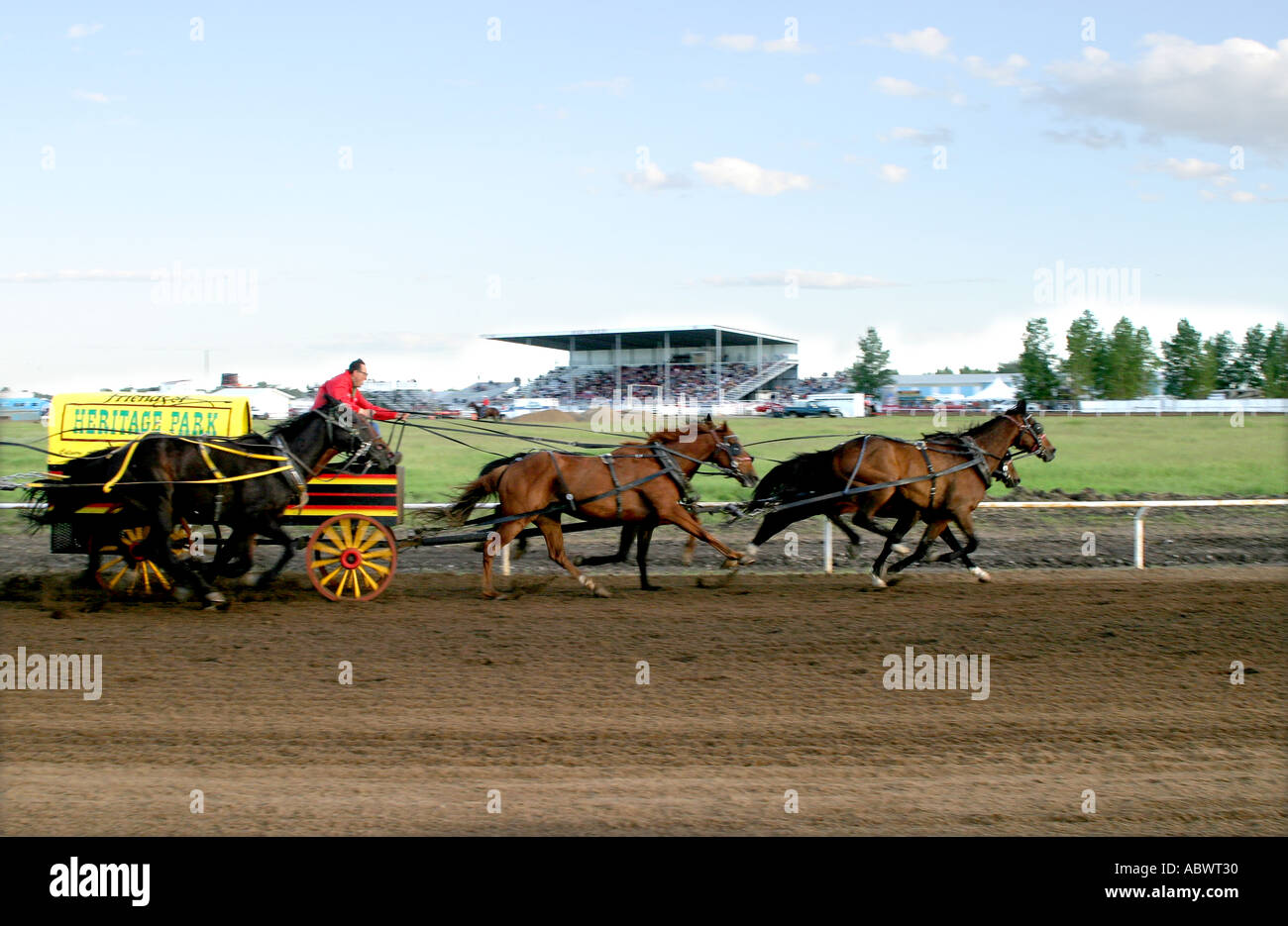 Rodeo Alberta Canada Chuck wagon race racing Stock Photo - Alamy