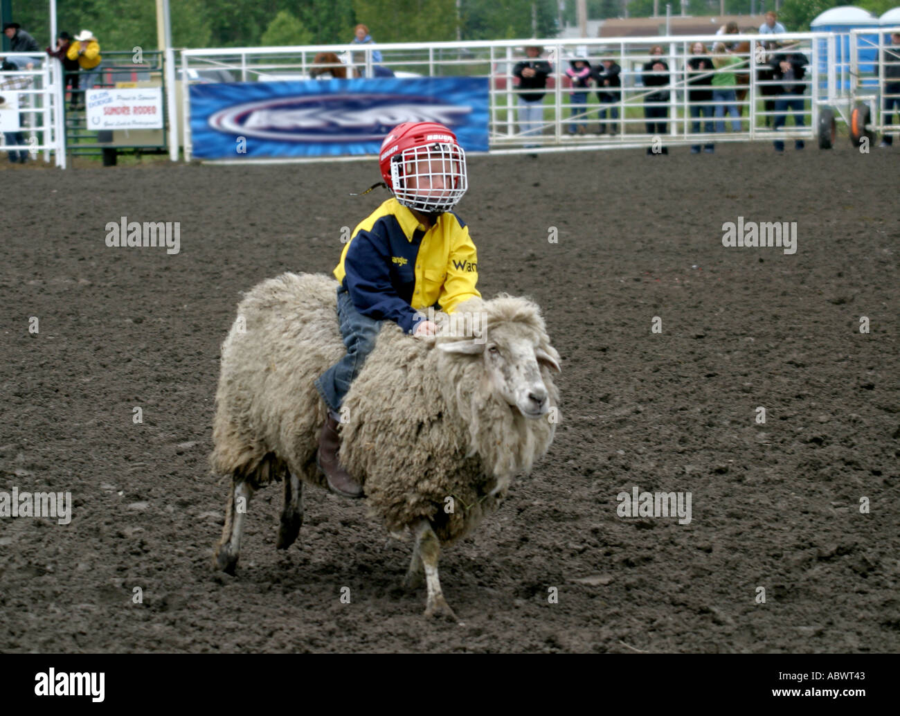 Children riding sheep hi-res stock photography and images - Alamy
