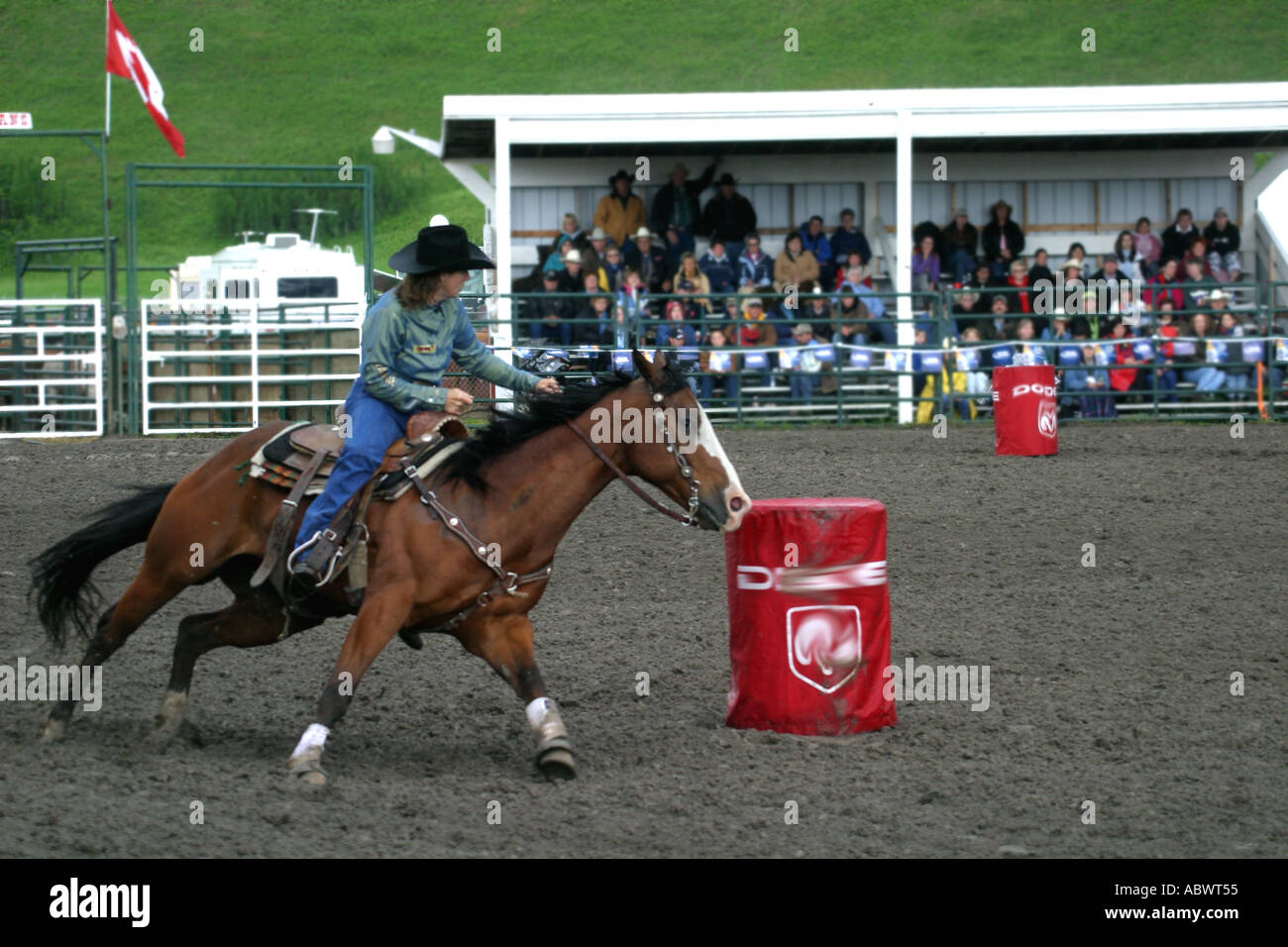 Rodeo Calgary Stampede Alberta Canada Barrel racing, horse & rider ...