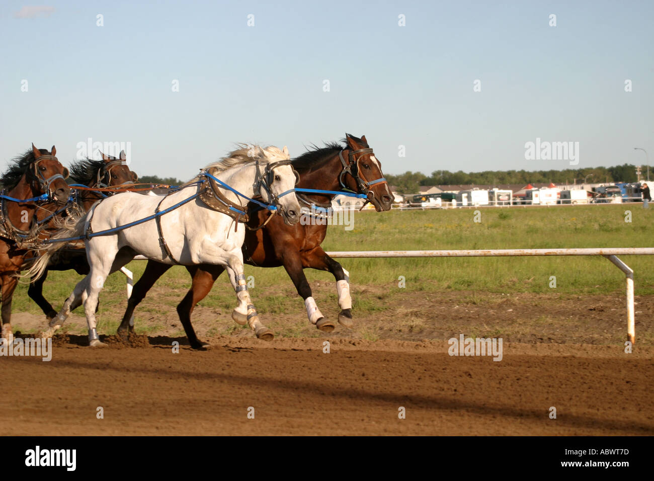 Rodeo Alberta Canada Chuck wagon race racing Stock Photo - Alamy