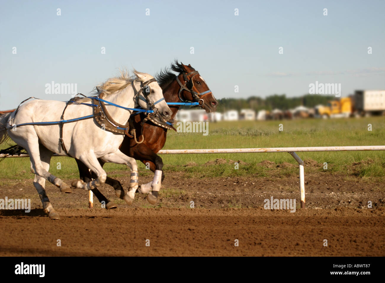 Rodeo Alberta Canada Chuck wagon race racing Stock Photo - Alamy