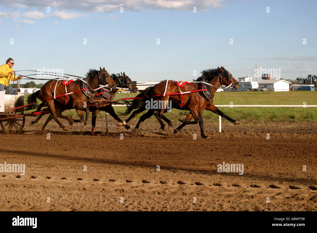 Rodeo Alberta Canada Chuck wagon race racing Stock Photo - Alamy