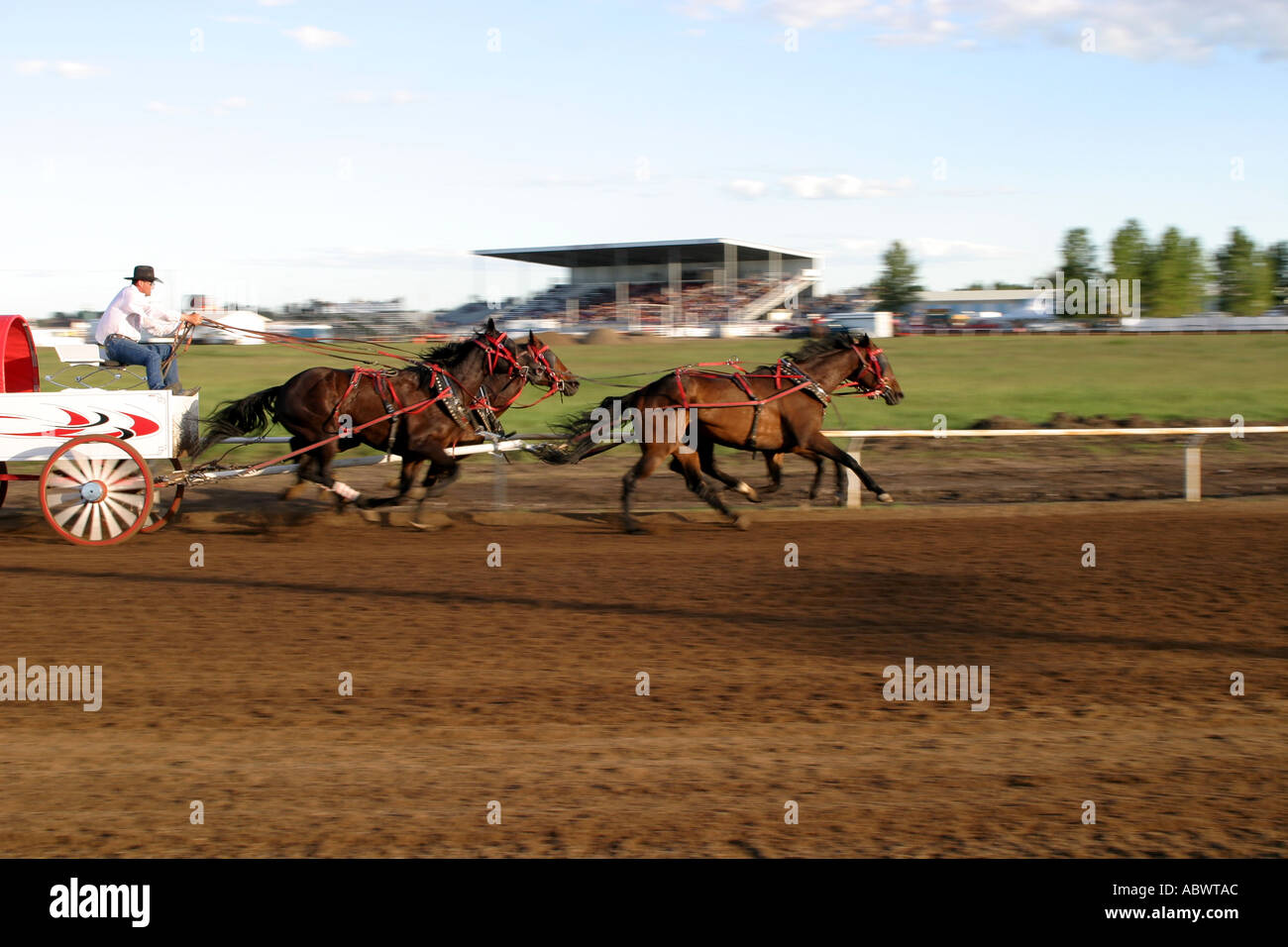 Rodeo Alberta Canada Chuck wagon race racing Stock Photo - Alamy