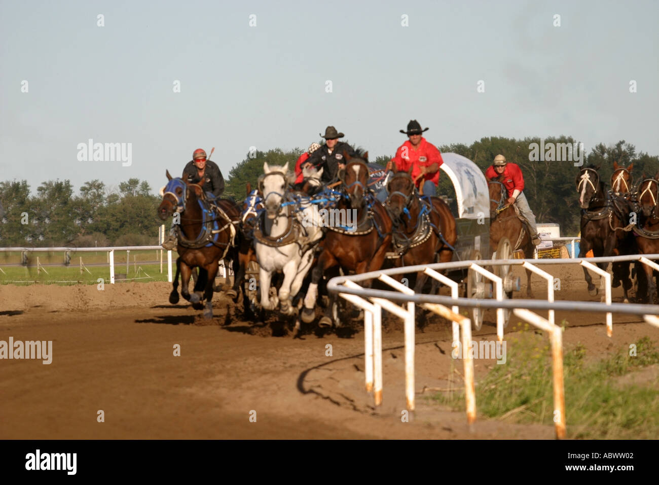 Rodeo Alberta Canada Chuck wagon race racing Stock Photo - Alamy