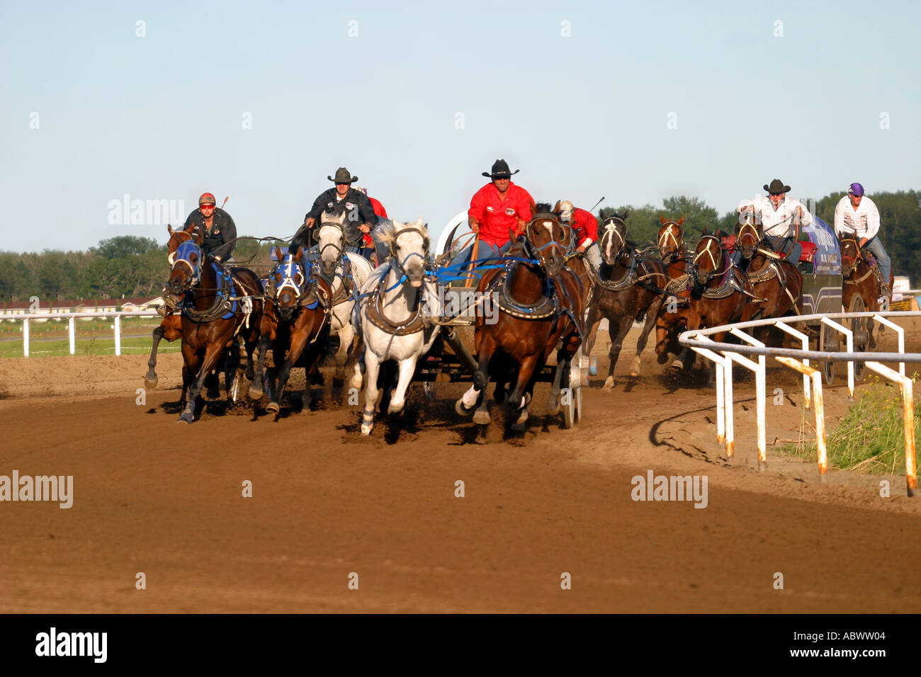 Rodeo Alberta Canada Chuck wagon race racing Stock Photo - Alamy