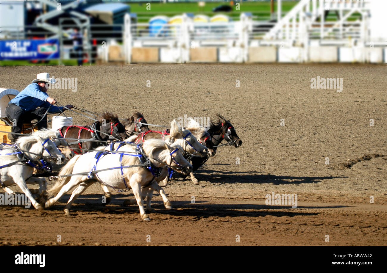 Mini chucks hi-res stock photography and images - Alamy