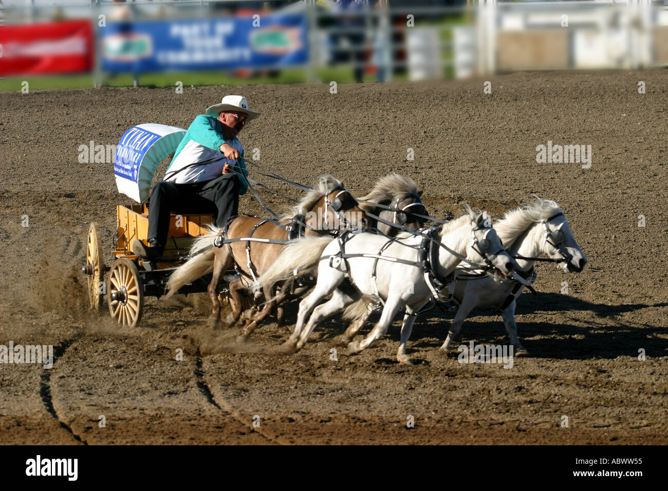 Mini Chucks Alberta Canada Chuck wagon race racing Stock Photo - Alamy