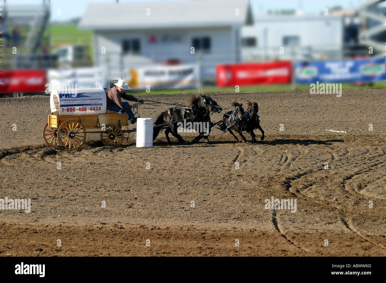 Rodeo Alberta Canada Chuck wagon race racing Stock Photo - Alamy