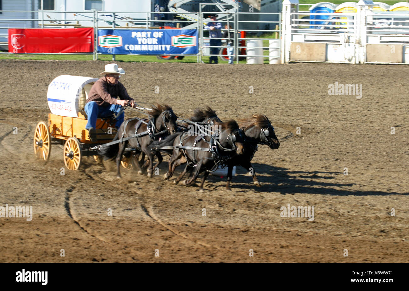 Rodeo Alberta Canada Chuck wagon race racing Stock Photo - Alamy