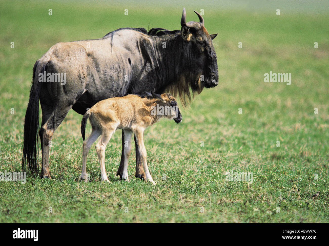 Justdays hi-res stock photography and images - Alamy
