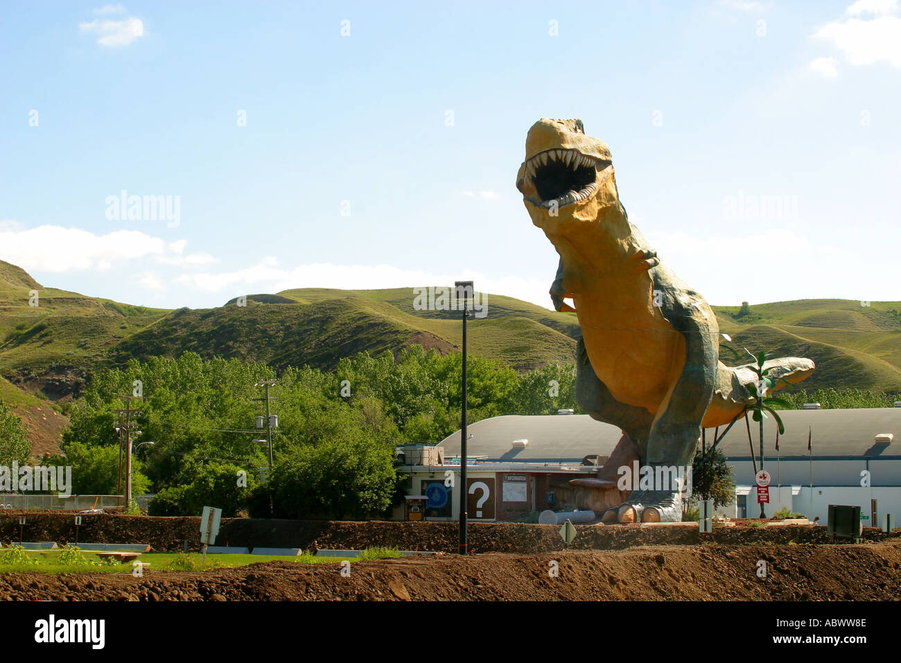 TYRANOSAURUS REX meat eater Dinosaur Prehistoric Park animal sculptures ...