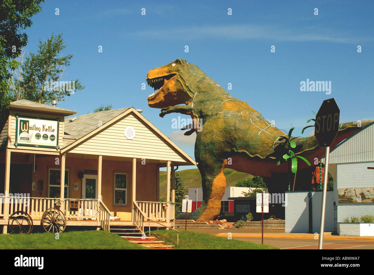 TYRANOSAURUS REX meat eater Dinosaur Prehistoric Park animal sculptures ...