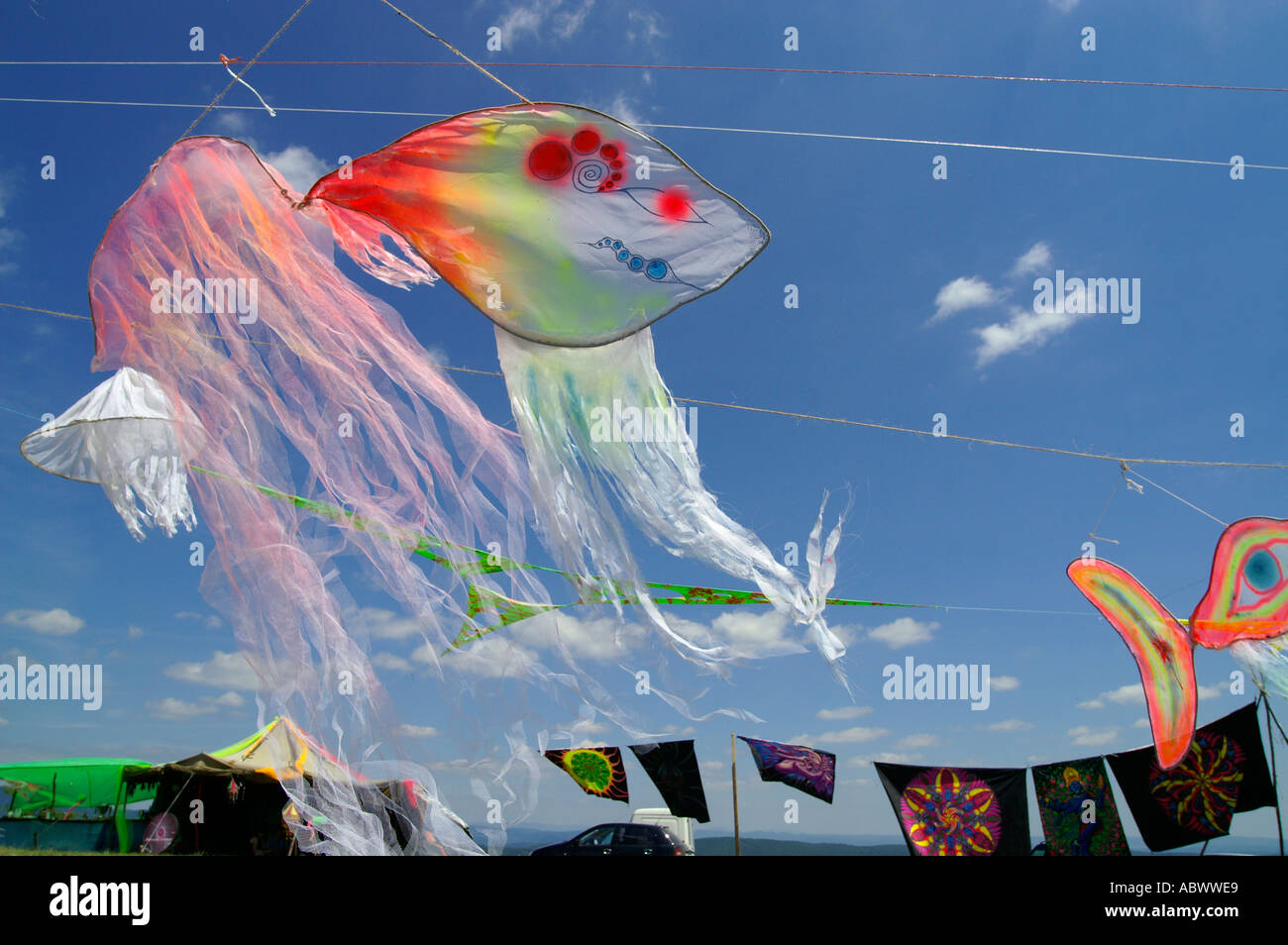 Psychedelic colourful fish hi-res stock photography and images - Alamy