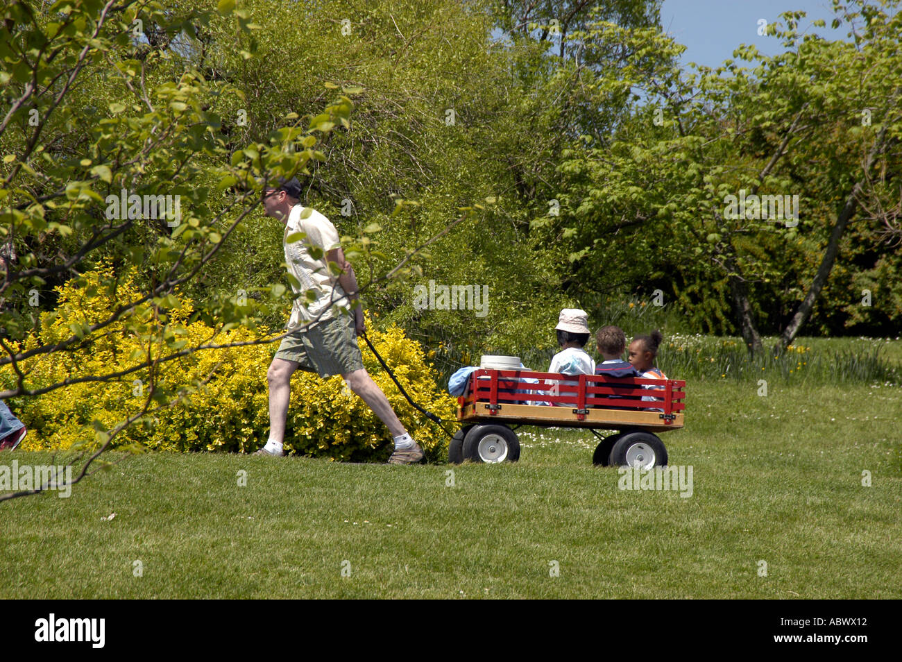 Father pulling children in wagon Stock Photo - Alamy