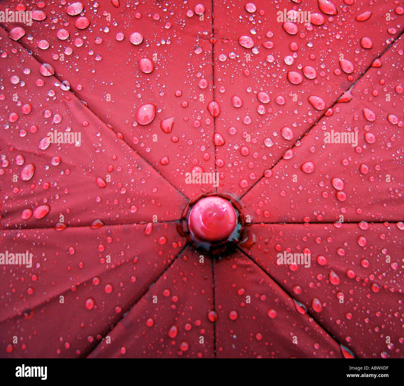 Water droplets red umbrella hi-res stock photography and images - Alamy