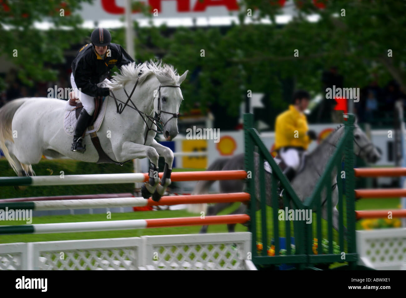 Equestrian show jumping at Calgary Alberta Canada Stock Photo - Alamy