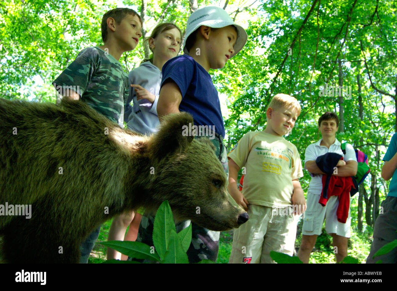 Children and Bear in forest Stock Photo - Alamy