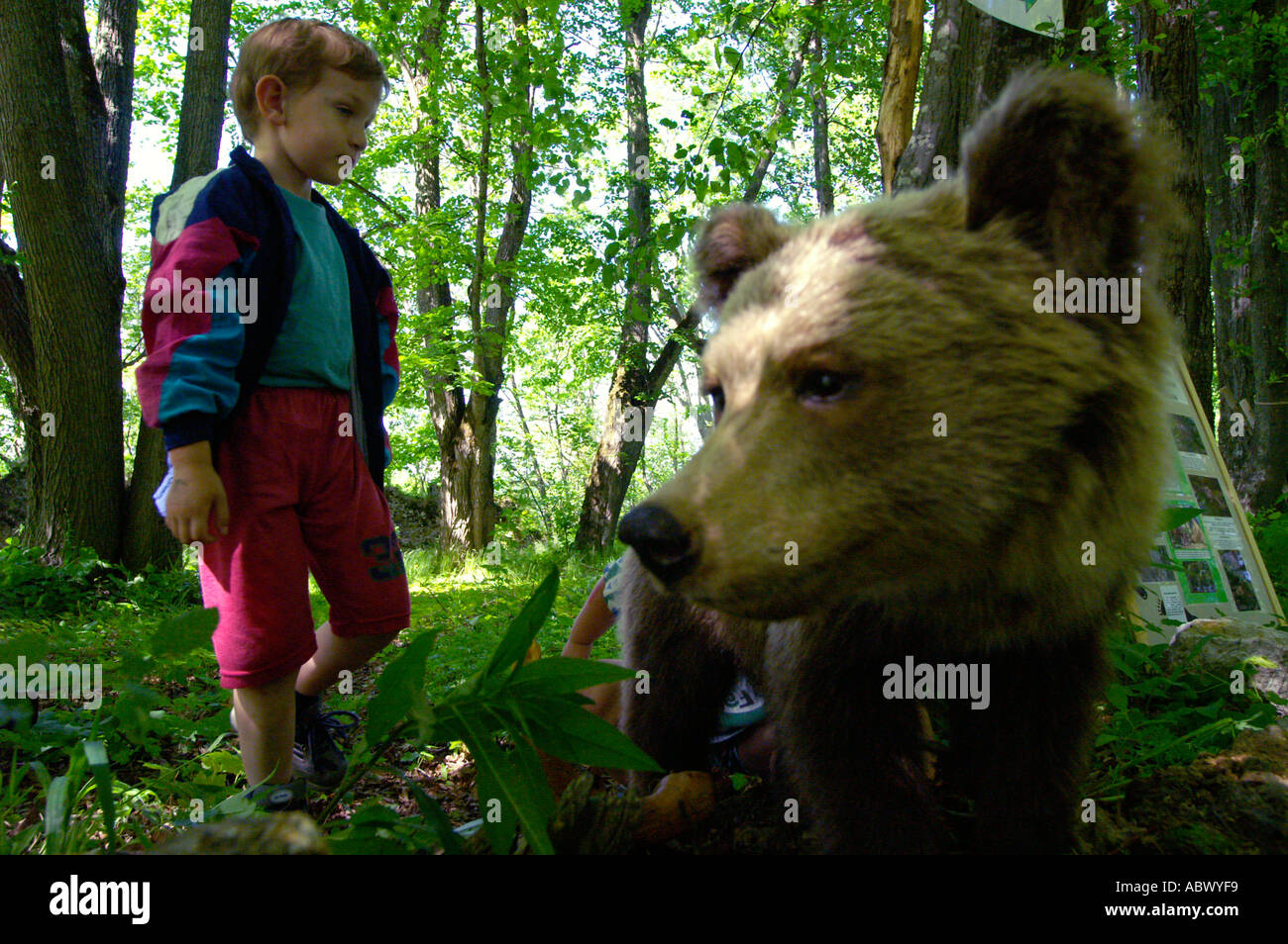Child and Bear in deep forest Stock Photo - Alamy