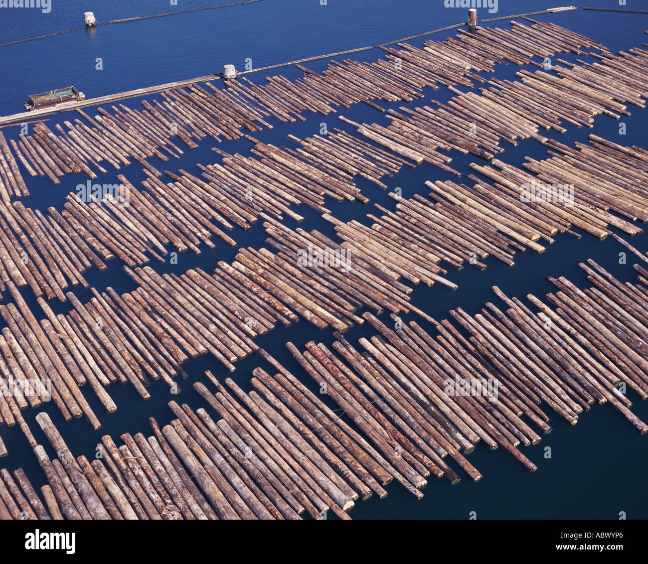 Aerial view of large group of wooden logs in river Stock Photo - Alamy