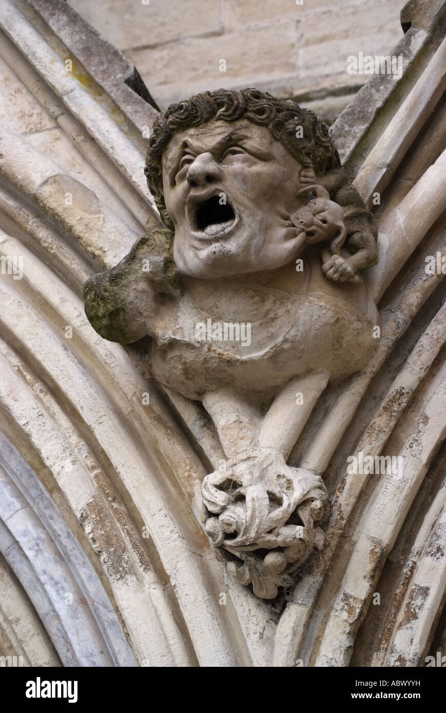 GARGOYLE ON SALISBURY CATHEDRAL. WILTSHIRE. ENGLAND. UK Stock Photo - Alamy