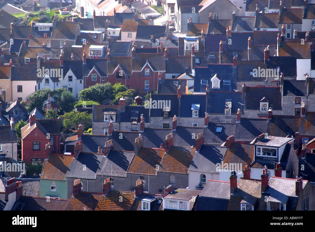 SUBURBAN ROOFTOPS. ENGLAND. UK Stock Photo - Alamy