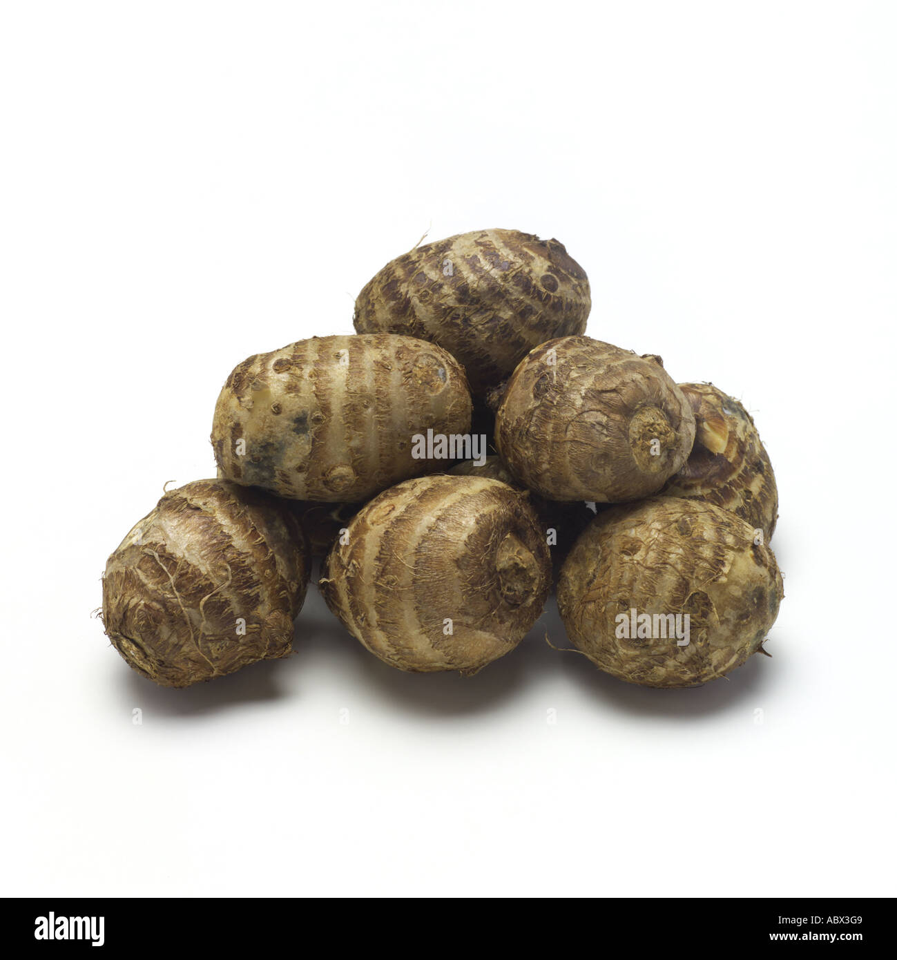 Aroid hi-res stock photography and images - Alamy