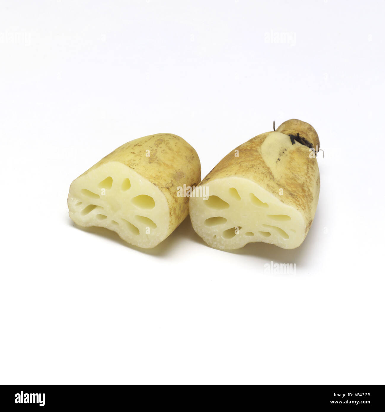 Lotus root cross section hi-res stock photography and images - Alamy