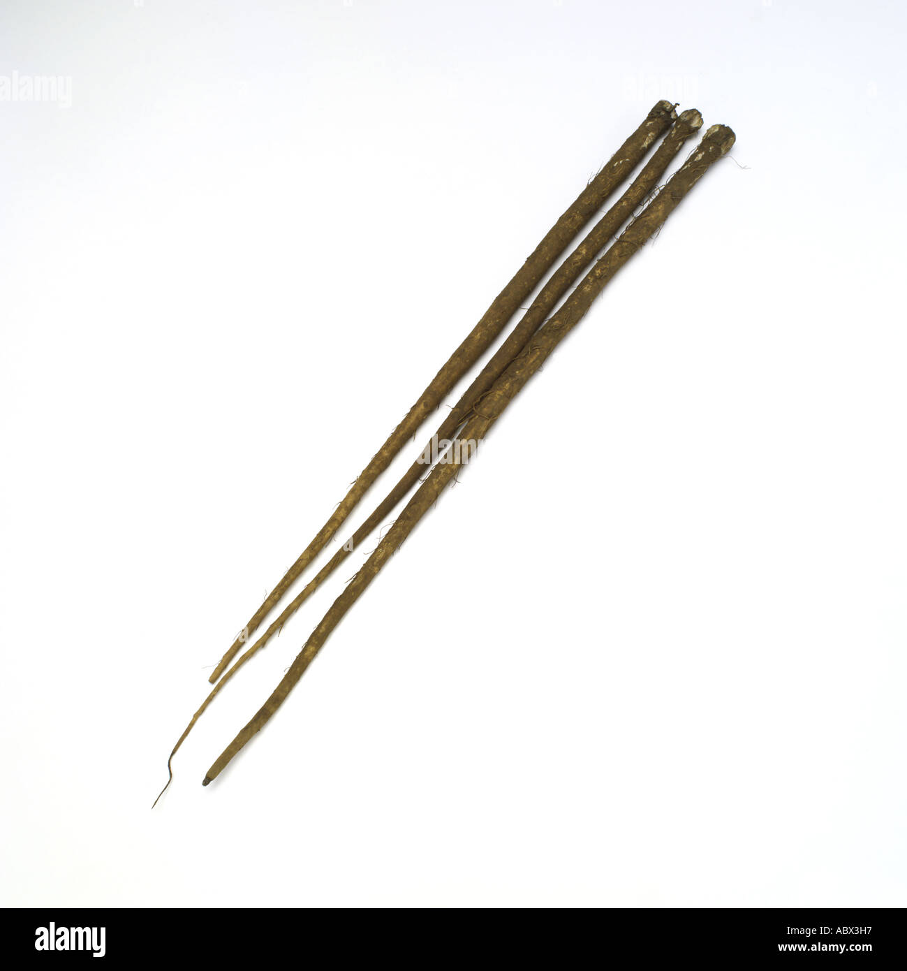 Edible burdock root hi-res stock photography and images - Alamy