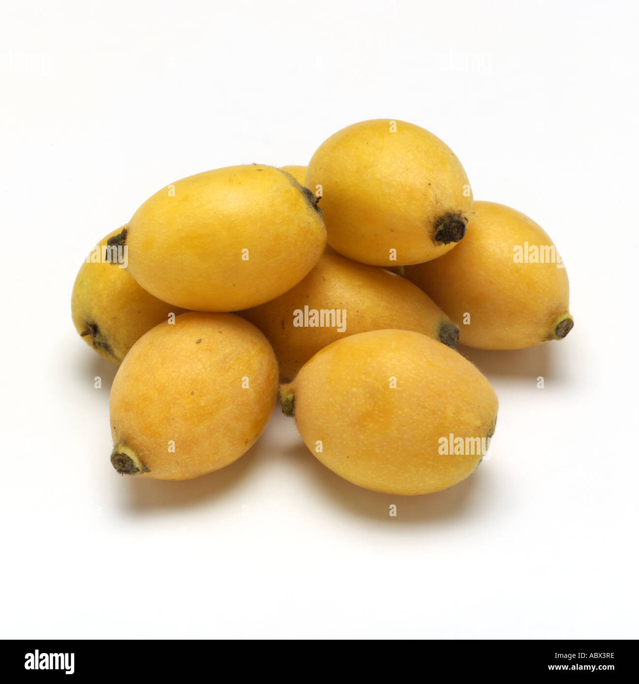 Biwa Cut Out Stock Images & Pictures - Alamy