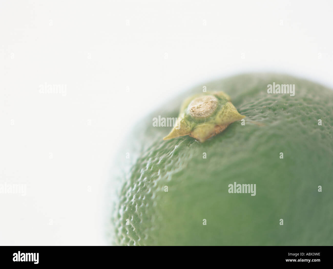 Citrus sudachi hi-res stock photography and images - Alamy