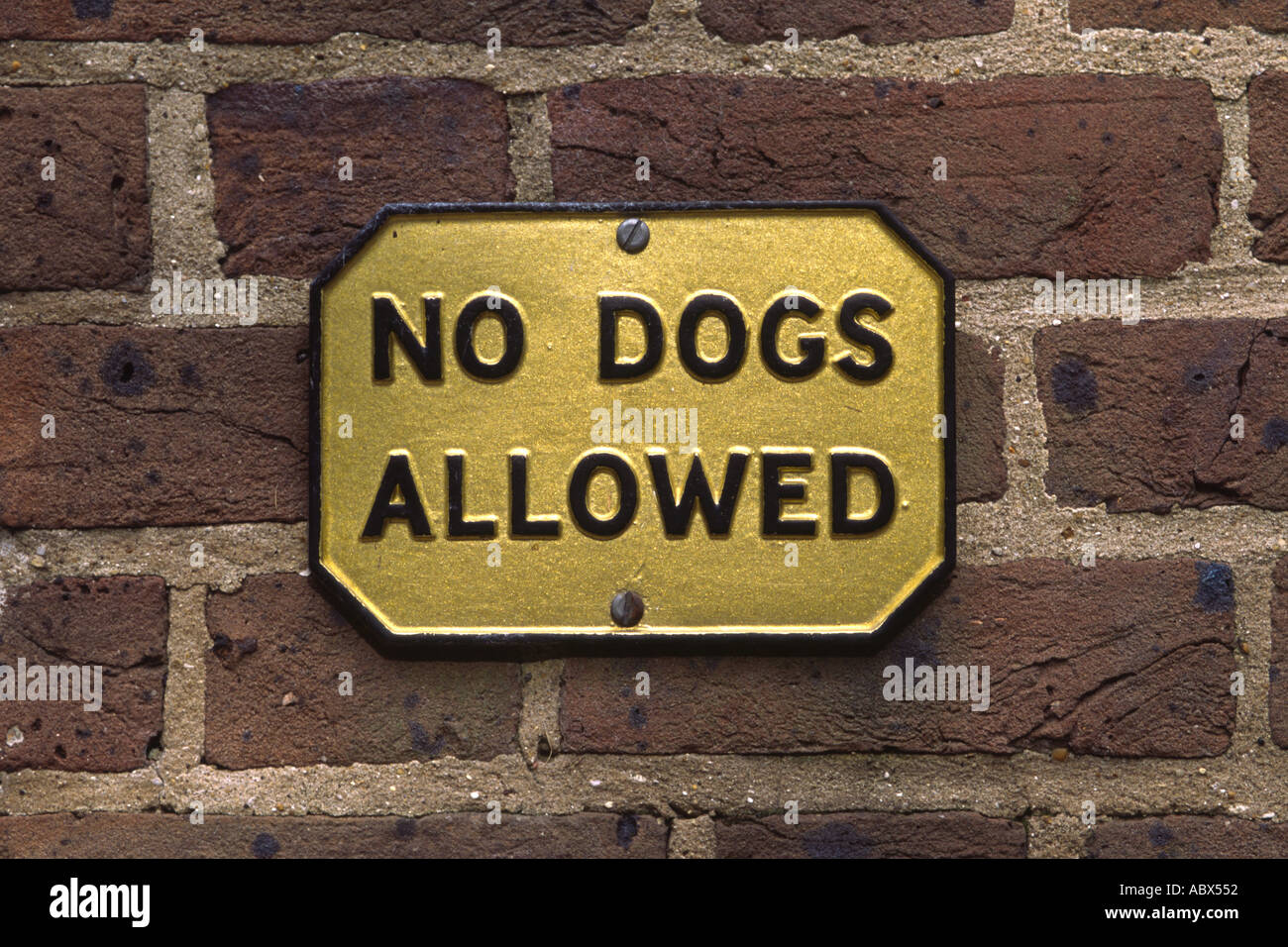 Letterforms hi-res stock photography and images - Alamy